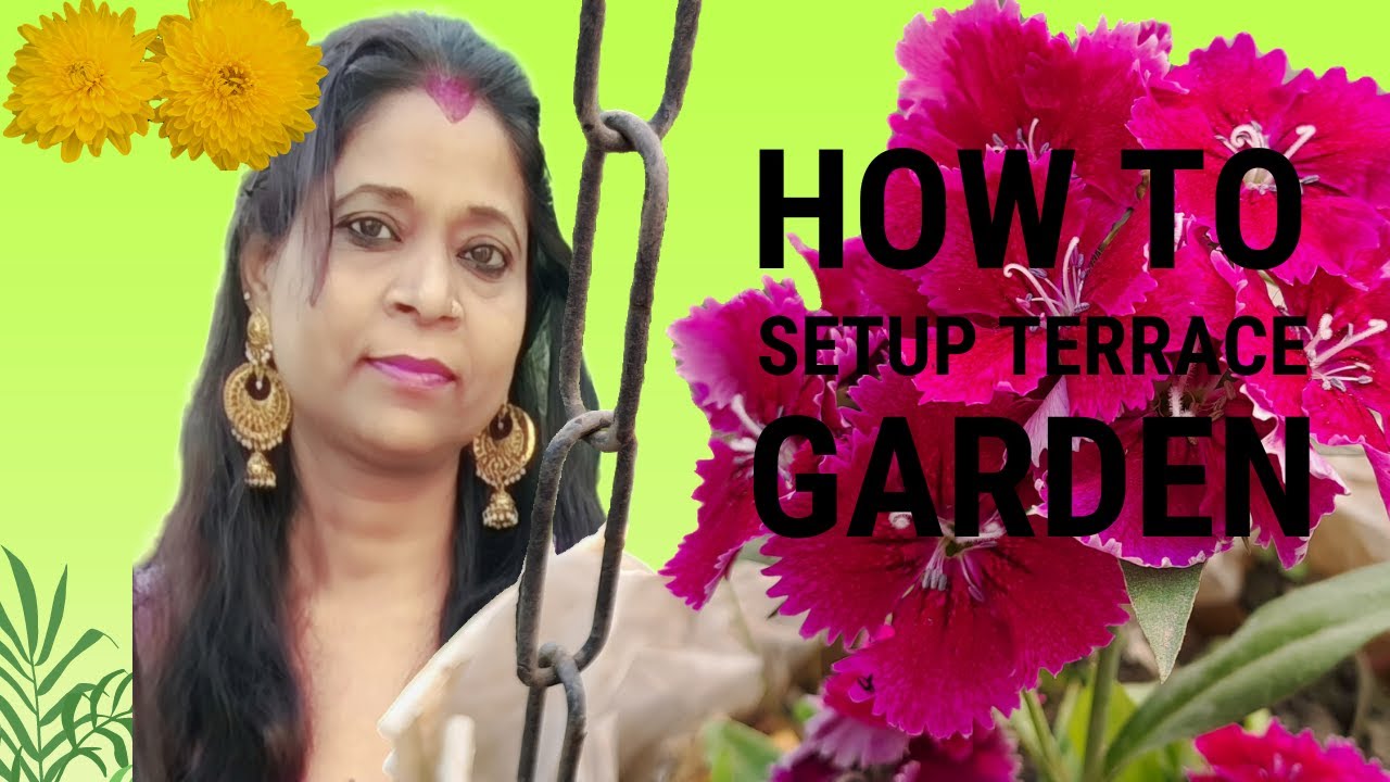 How to setup Terrace gardening at home #videos #gardeningforbiginners # ...