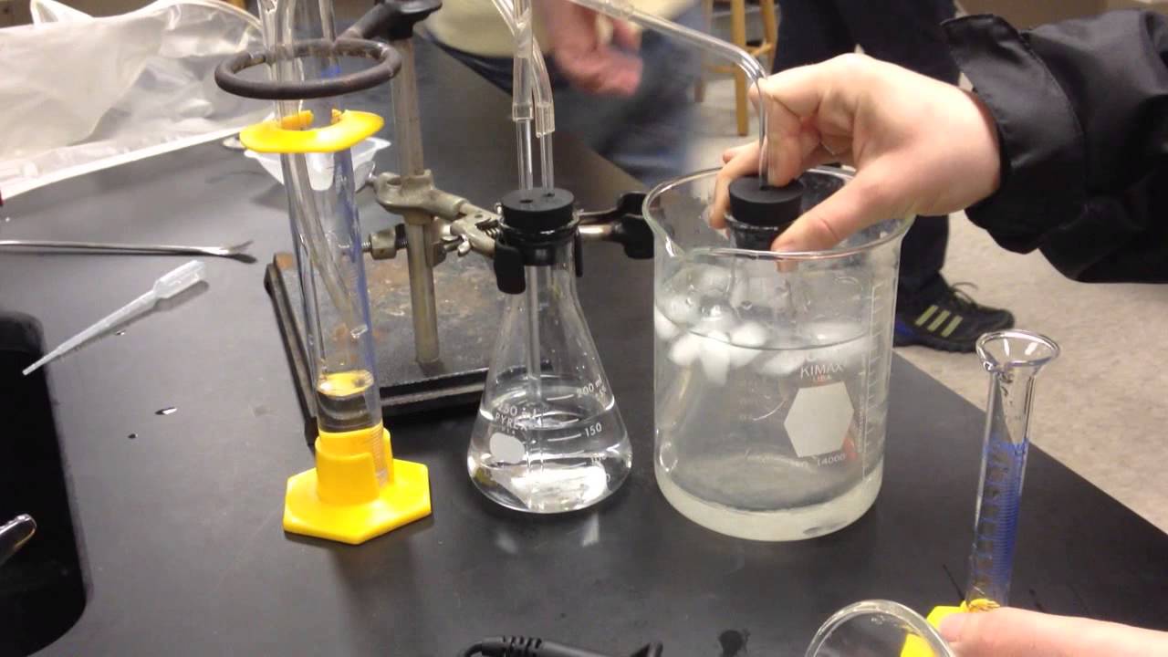 Cold Water Test - YouTube