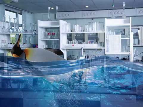 Physics Penguin's guide to Weight. - YouTube