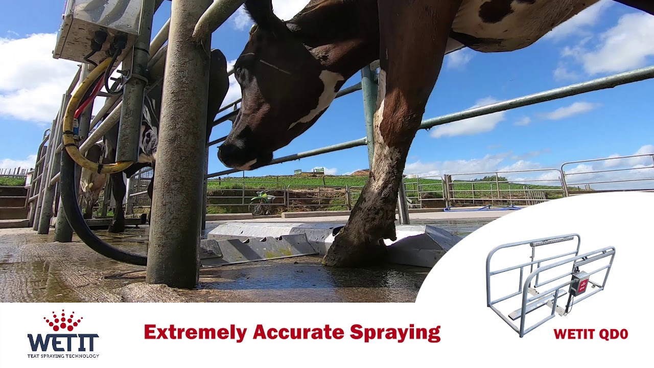 WETIT QD0 Teat Sprayers - YouTube