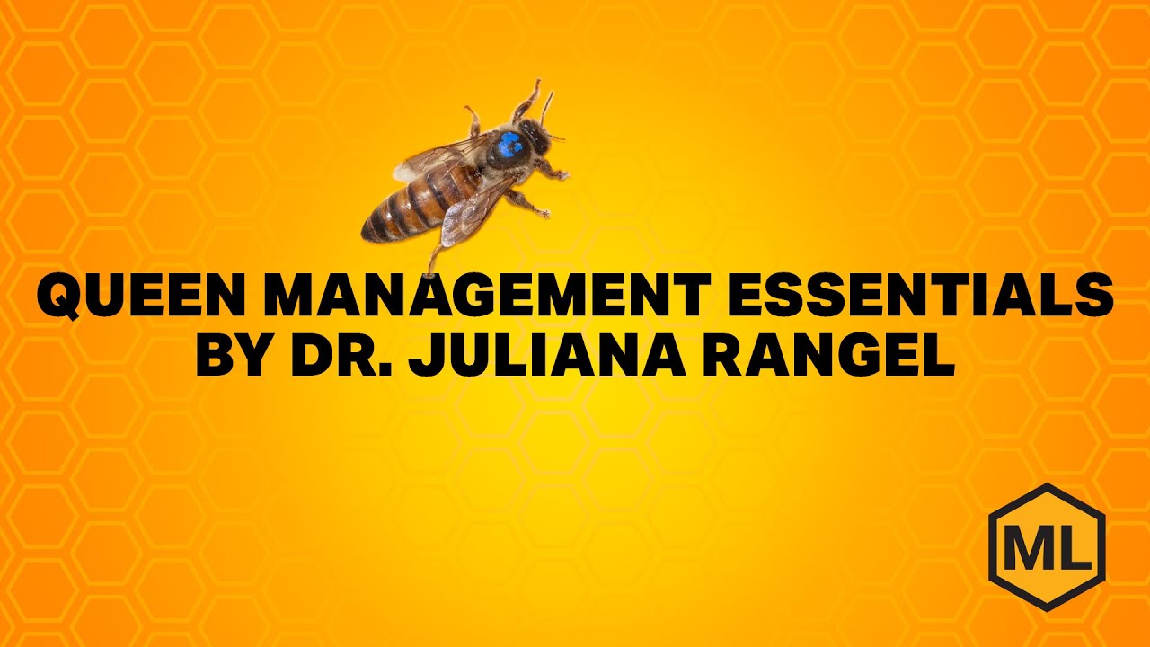 Queen Management Essentials Class by Dr. Juliana Rangel - YouTube