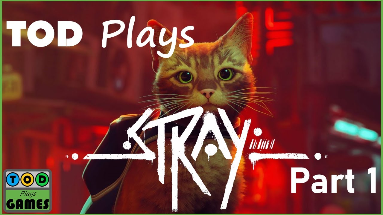 Stray - Part 1 | TOD Plays - YouTube