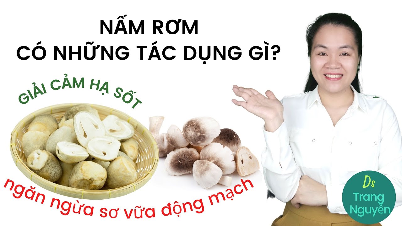 Nấm rơm có tác dụng giải cảm, hạ sốt, tăng cường chức năng miễn dịch ...
