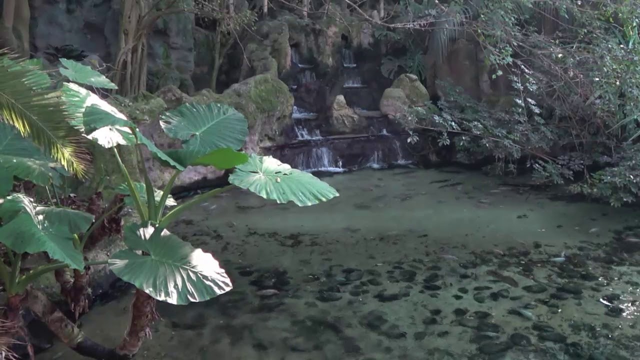 Waterfall Sounds. Nature's Best White Noise For Relaxation & Sleep ...