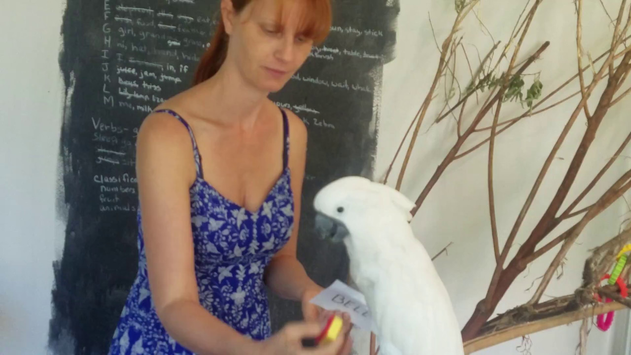 Isabelle learns to read - YouTube