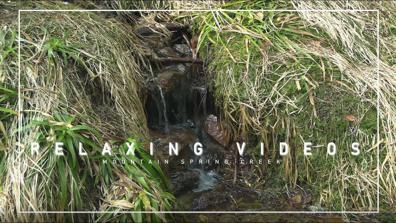 Relaxing videos_MOUNTAIN SPRING CREEK (4K) - YouTube