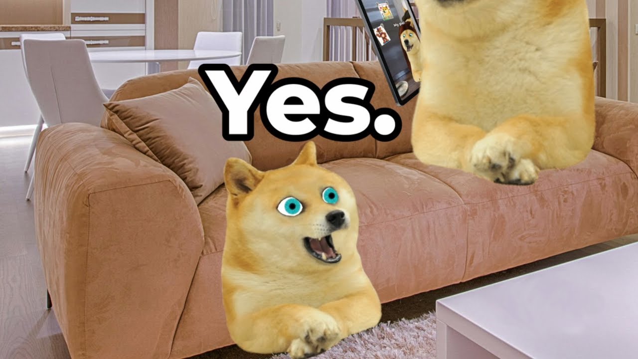 lil doge finally gets his ipad back - YouTube