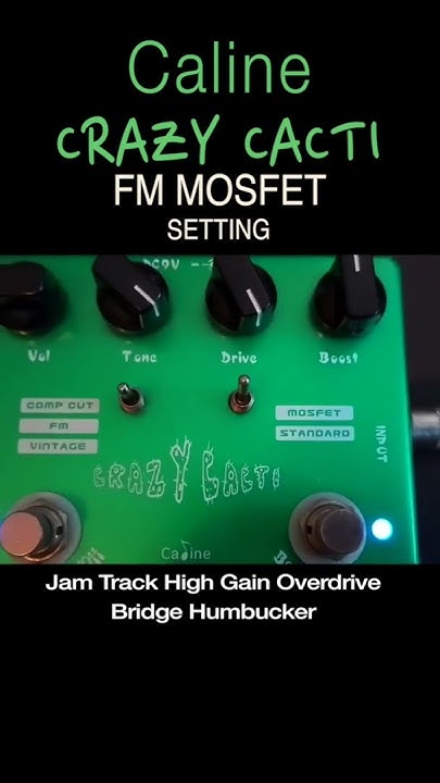 A CLASSIC BLUES TONE FROM THE CALINE CRAZY CACTI PEDAL - YouTube