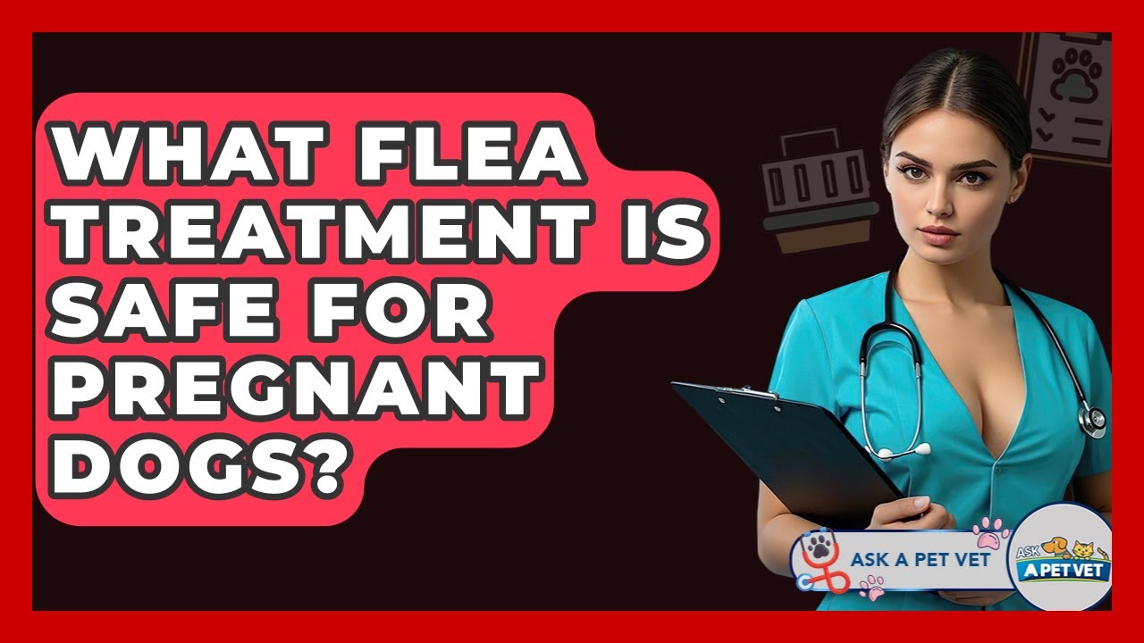 What Flea Treatment Is Safe For Pregnant Dogs? - Ask A Pet Vet - YouTube