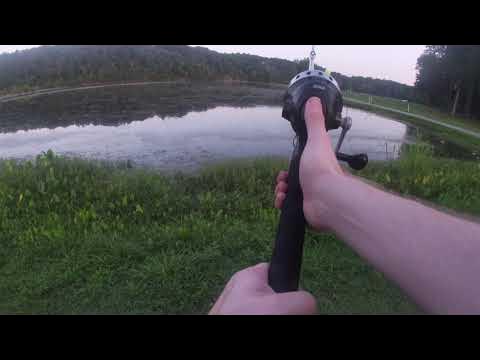 How to Cast a Push Button Reel (Beginner Tips) - YouTube