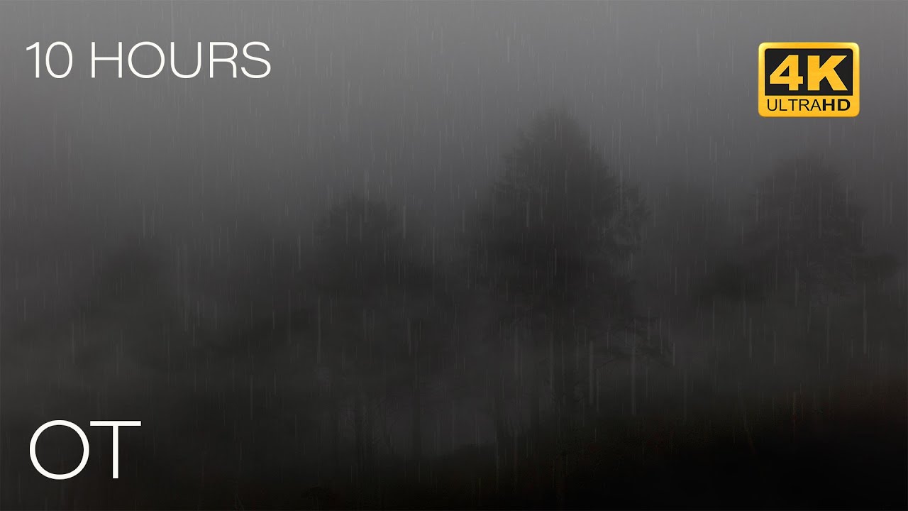 Stormy Moody Night in the Forest | Heavy Rain & Rolling Thunder for ...