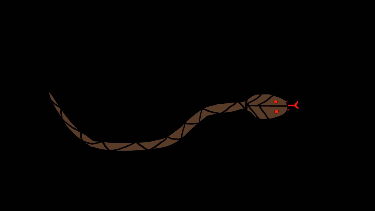 Snake Wiggling Test Practise - YouTube