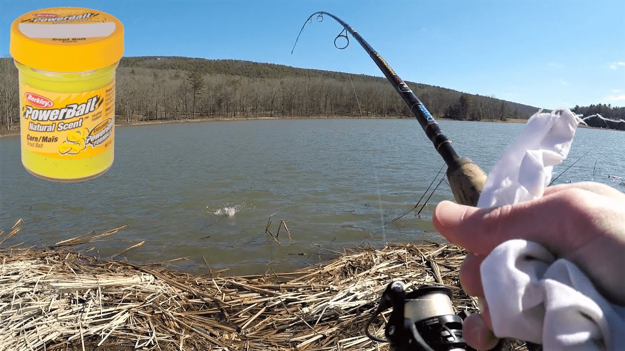 BEST Powerbait for TROUT FISHING! We Limited Out in 1 HOUR - YouTube