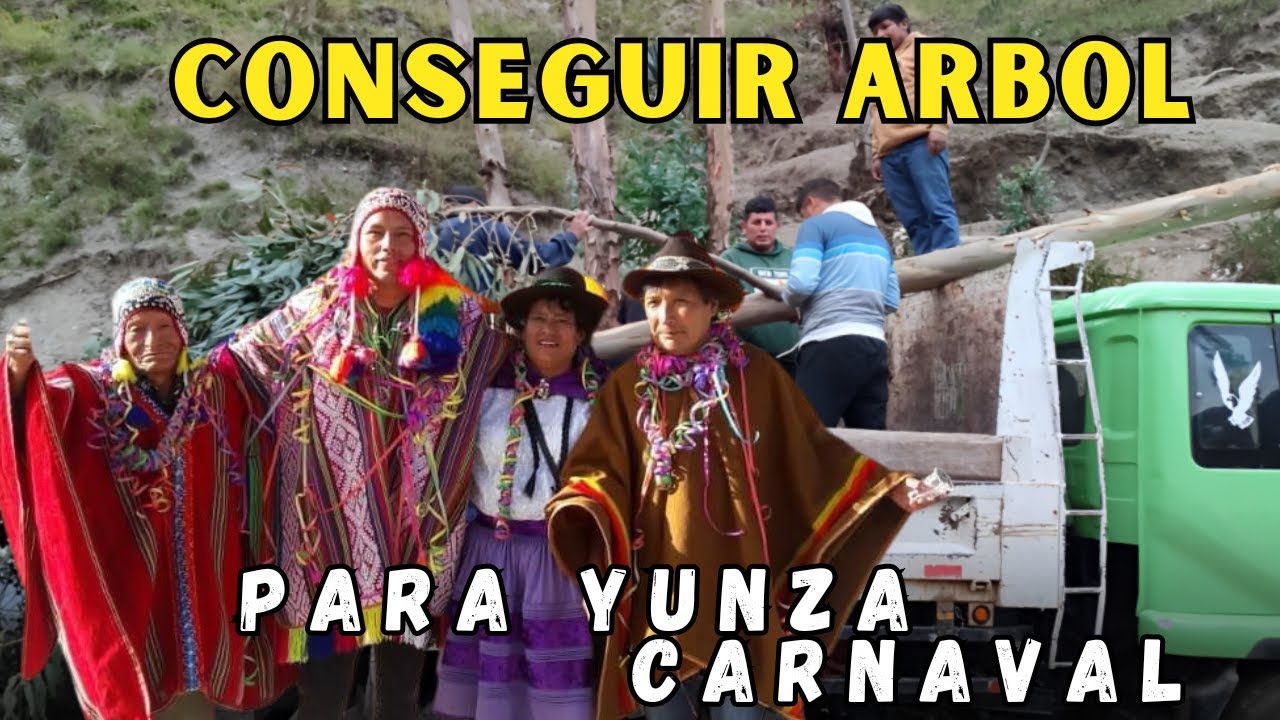 EL ARBOL DE YUNZA: / CONSEGUIR ARBOL PARA YUNZA// FISTE INOLVIDABLE DEL ...