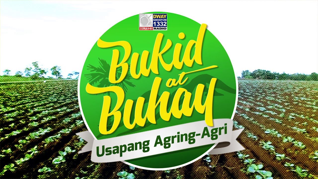 LIVE: BUKID AT BUHAY | January 6, 2025 - YouTube