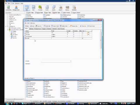 Hot to create new table in Navicat 8 - YouTube