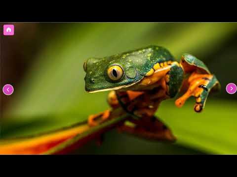 16th note Scavenger hunt - YouTube