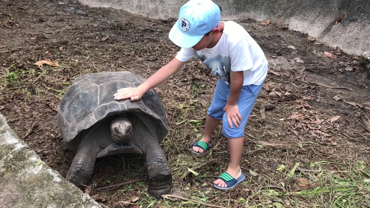 Seychelles, la digue island, union state park - YouTube