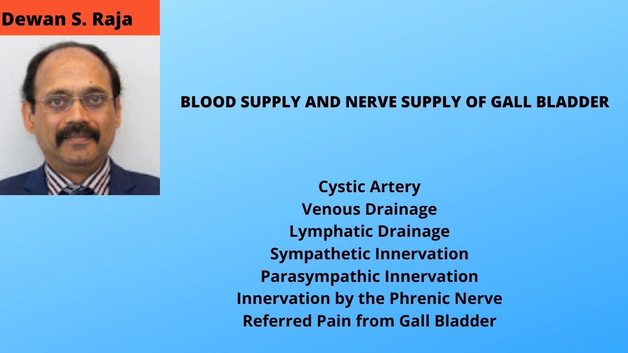 BLOOD SUPPLY AND NERVE SUPPLY OF THE GALL BLADDER - YouTube