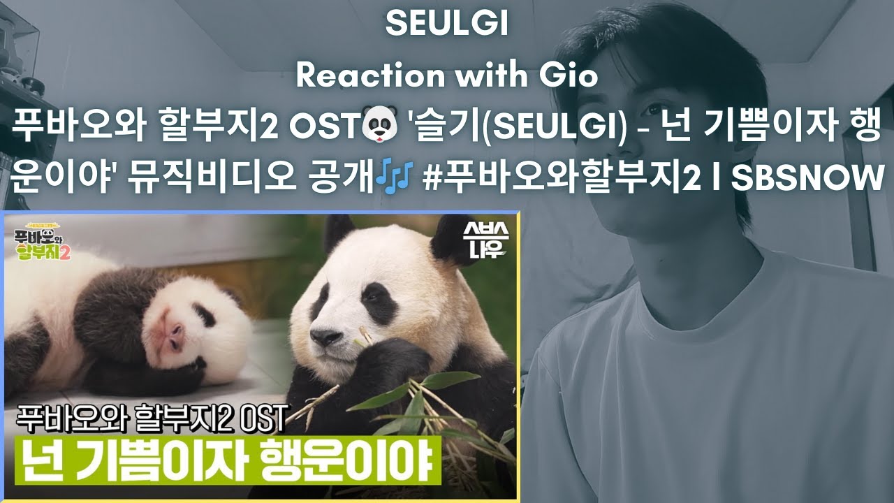 Seulgi Red Velvet Reaction With Gio 푸바오와 할부지2 Ost🐼 슬기seulgi 넌 기쁨이자 행운이야 뮤직비디오 공개🎶