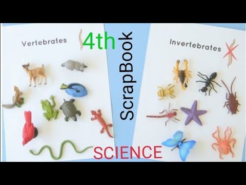 Science Scrapbook Grade 4 / 4th Class - YouTube