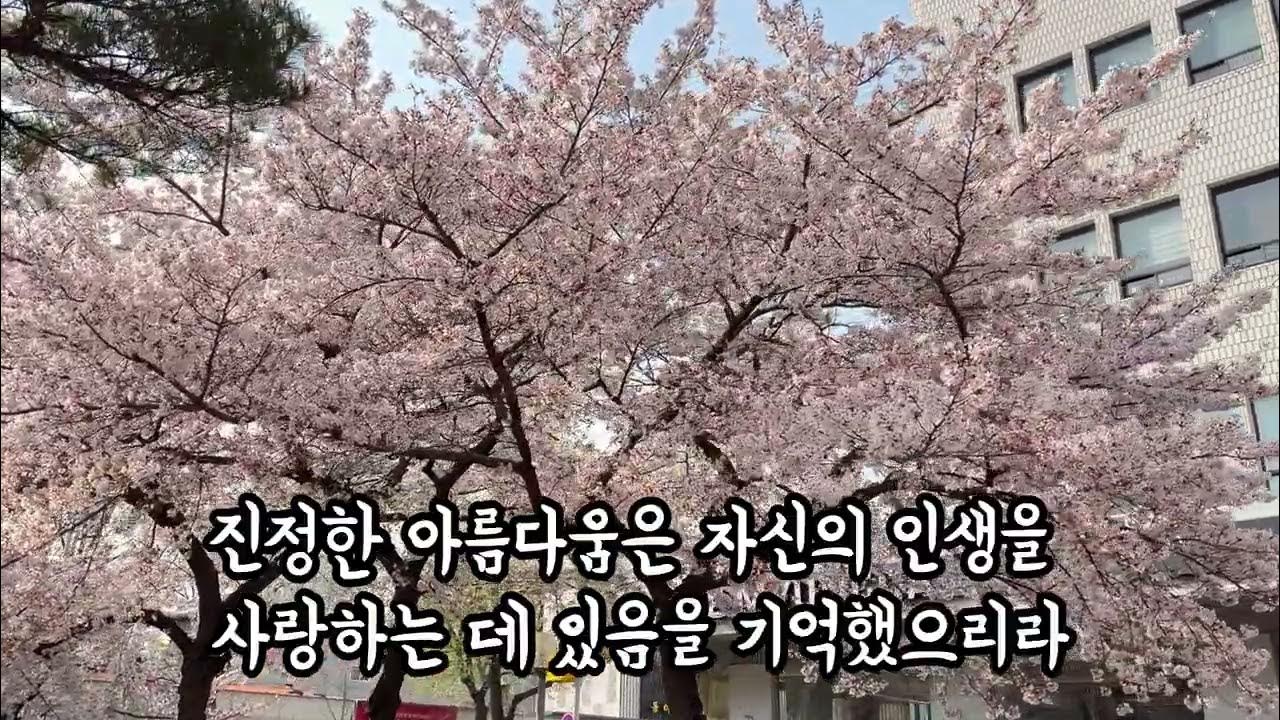 지금 내가 알고있는 걸 그때도 알았더라면 킴벌리커버거 Youtube
