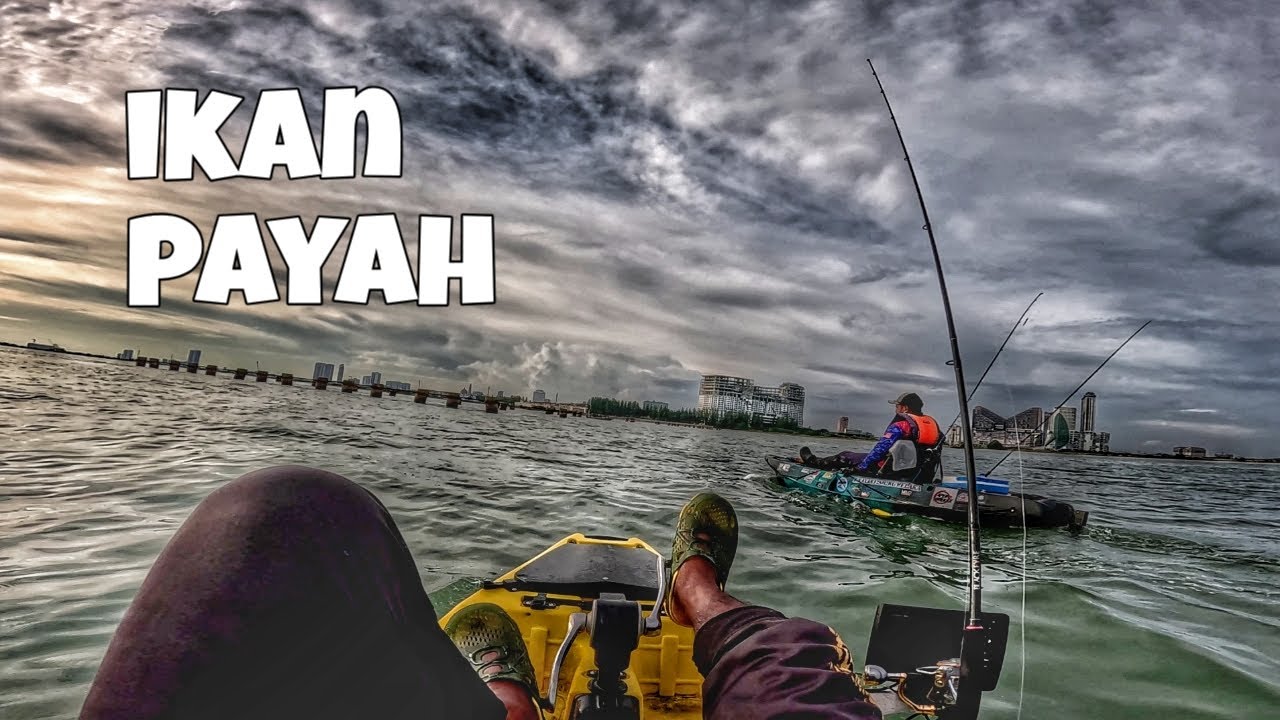 Mencari Ikan Ditempat Dalam - Kayak Fishing Melaka - YouTube