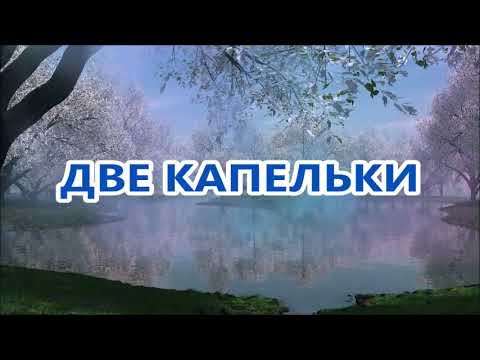 ДВЕ КАПЕЛЬКИ муз.Сергея ШЕВЧЕНКО сл.Тамары ИВАНОВОЙ исп.Сергей ШЕВЧЕНКО