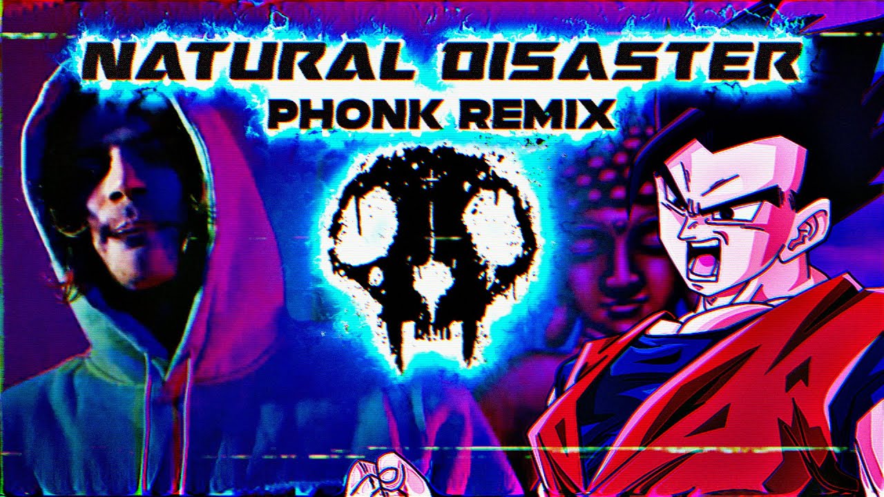 WOMBAT - NATURAL DISASTER PHONK REMIX - YouTube