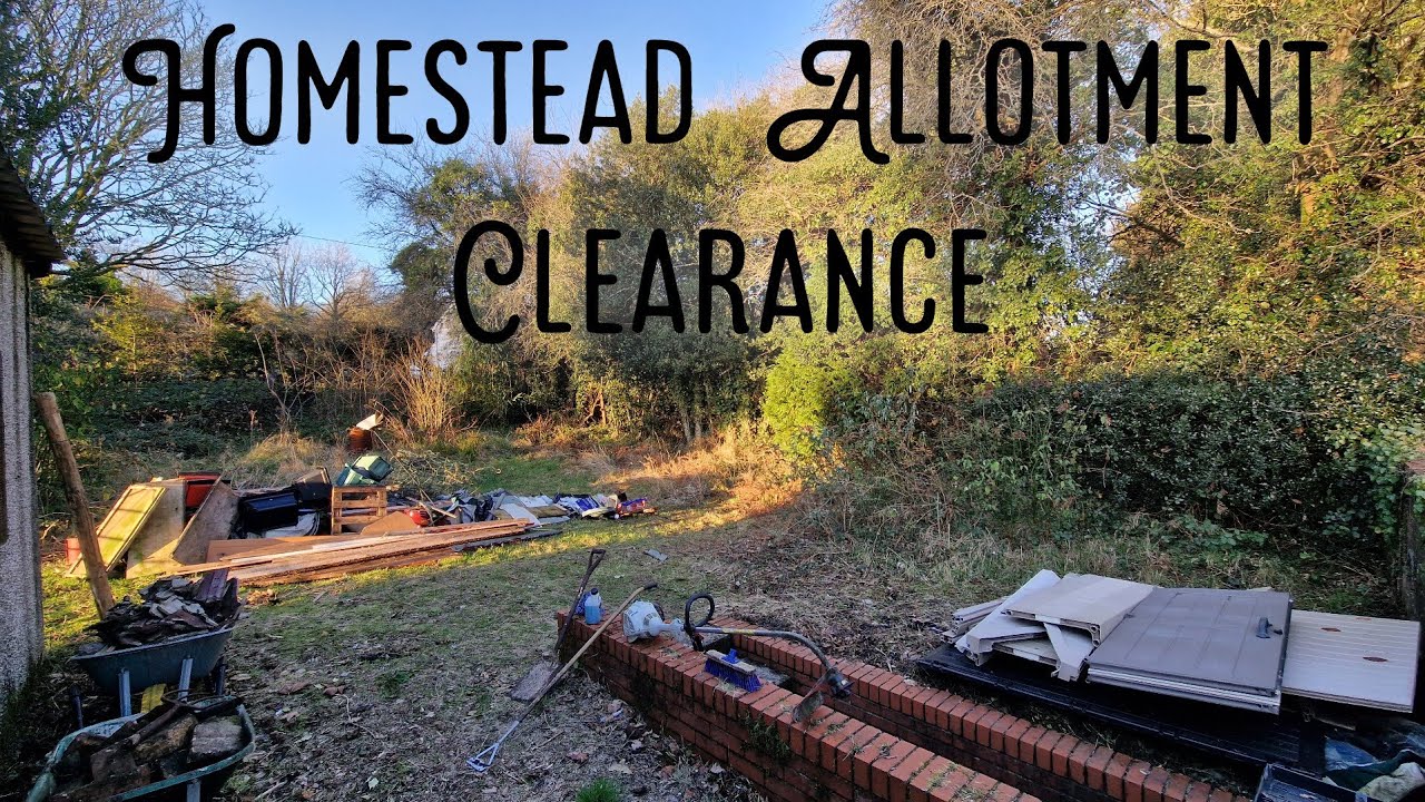 Homestead Allotment Clearance overgrown garden plot - YouTube