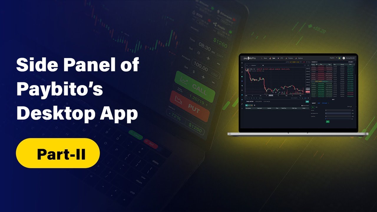 Side Panel of PayBitoPro's Desktop App - HashCash Consultants - YouTube
