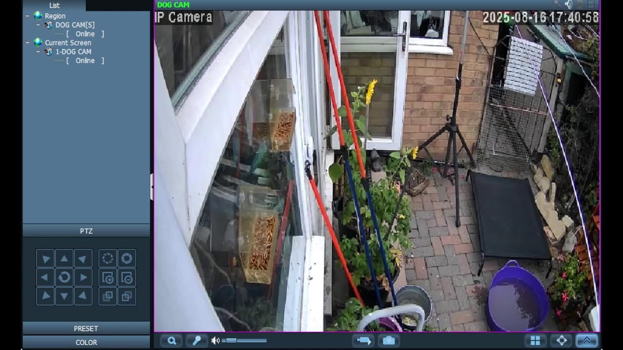 Steve Ibbotson Live Stream - YouTube