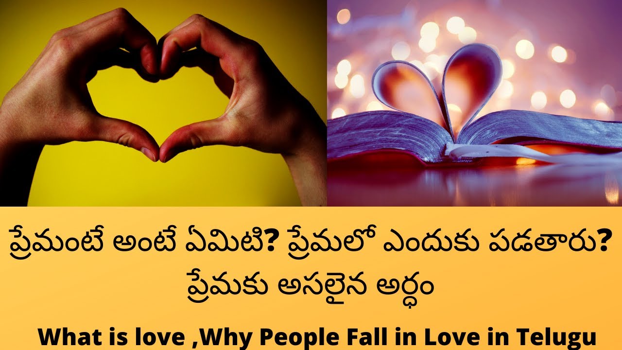 What Is Love In Telugu Why People Fall In Love In Telugu True