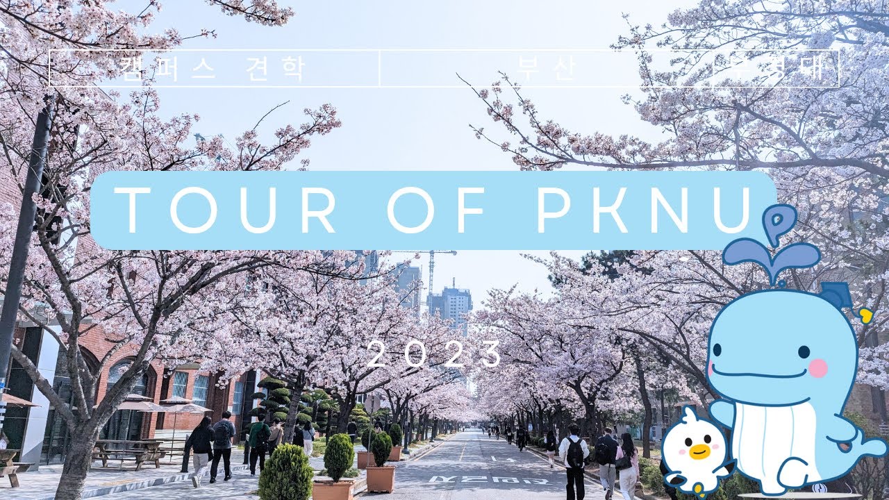 Tour Of Pukyong National University (PKNU) In South Korea || 부경대학교의 캠퍼스 ...