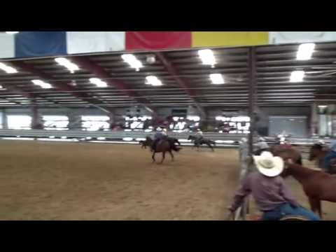 Rance Butler and Kalijah heeling mustang makeover - YouTube