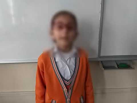 Adıyaman Hürriyet İlkokulu-Nergis YAMAN - YouTube