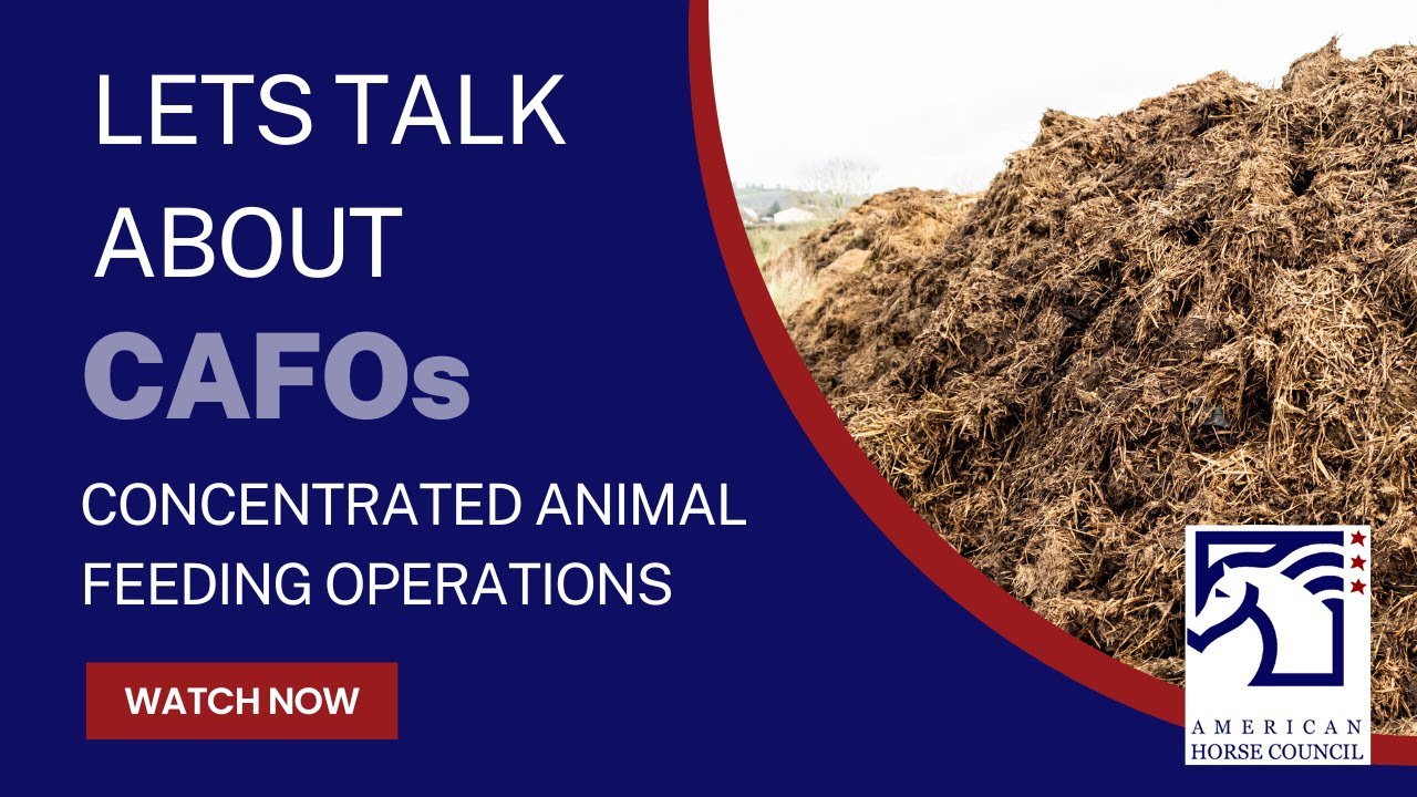Learn about CAFOs with the American Horse Council - YouTube