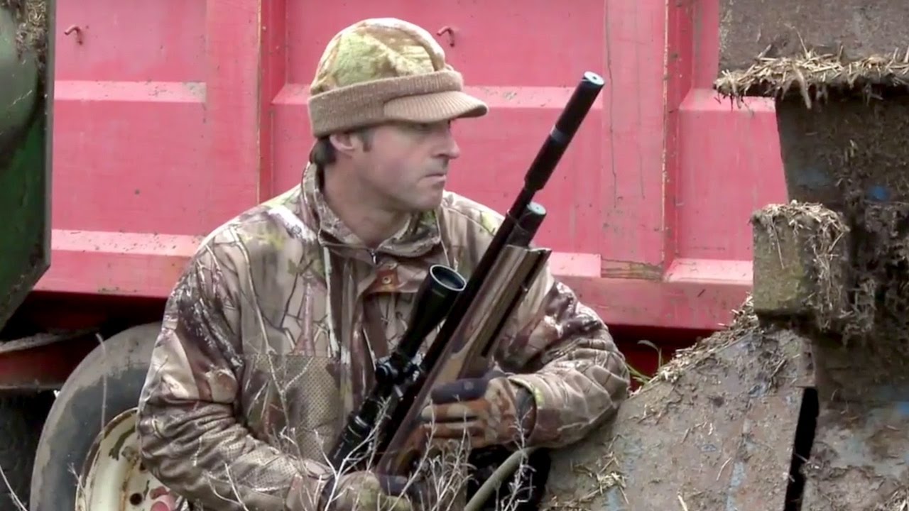 The Airgun Show – farmyard dove and pigeon hunt, how to attach a scope ...