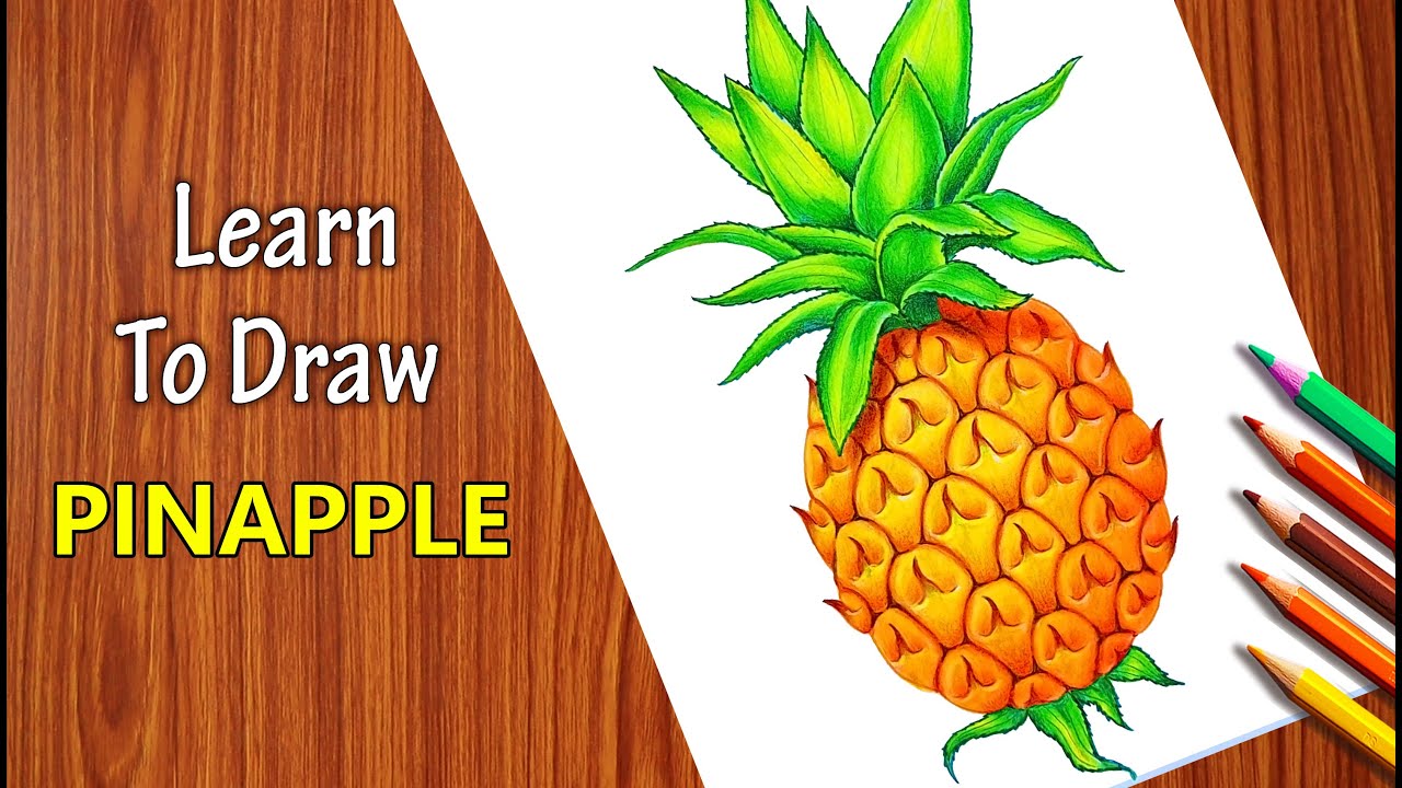 How_To_Draw_Pinapple/Pinapple_drawing/Pinaple_Colouring/How_To_Draw ...