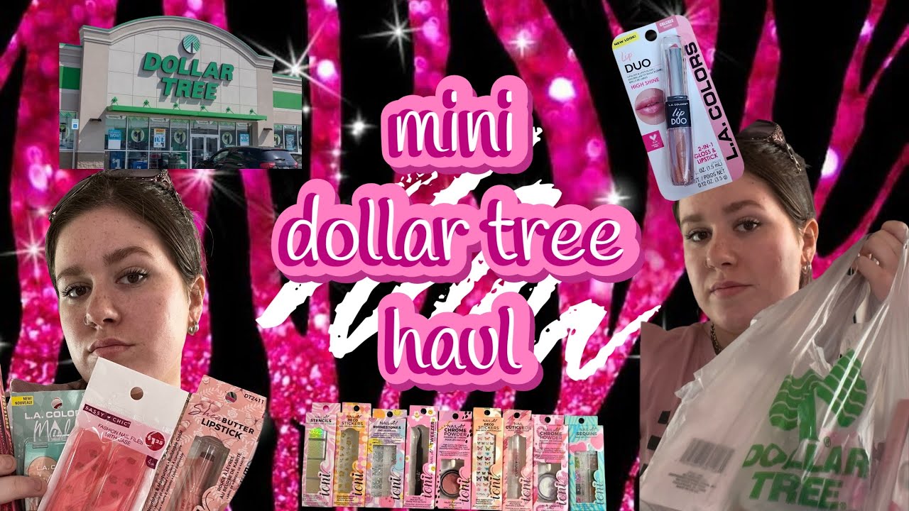 mini dollar tree haul!!! - YouTube
