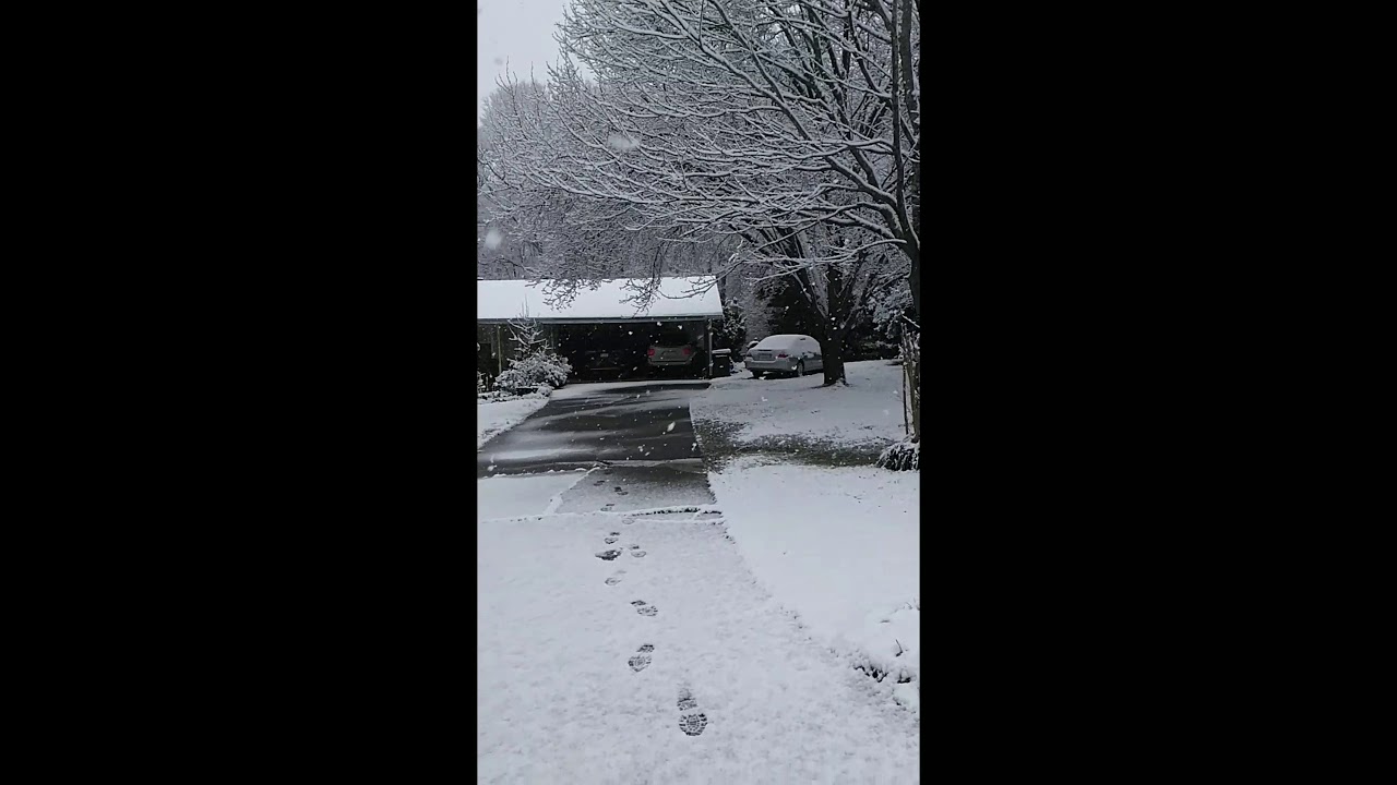 Snow Day. Georgia 02/08/20 - YouTube