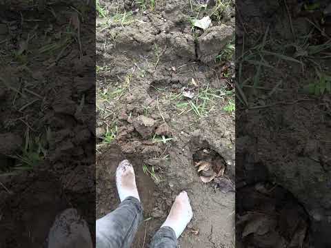 walking in white socks in the mud
