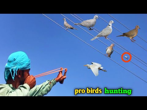 Pro birds hunting with handmade Slingshot!