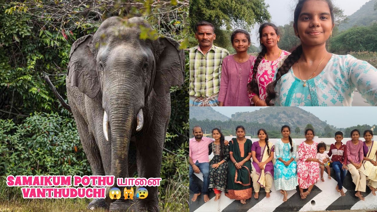 😱Samachitu irukum pothu யானை vanthuduchi 😰🙀🐘|| New year Special Family ...