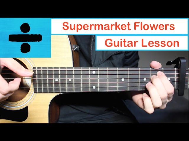 Supermarket Flowers Acoustic Ed Sheeran Chords Best Flower Site