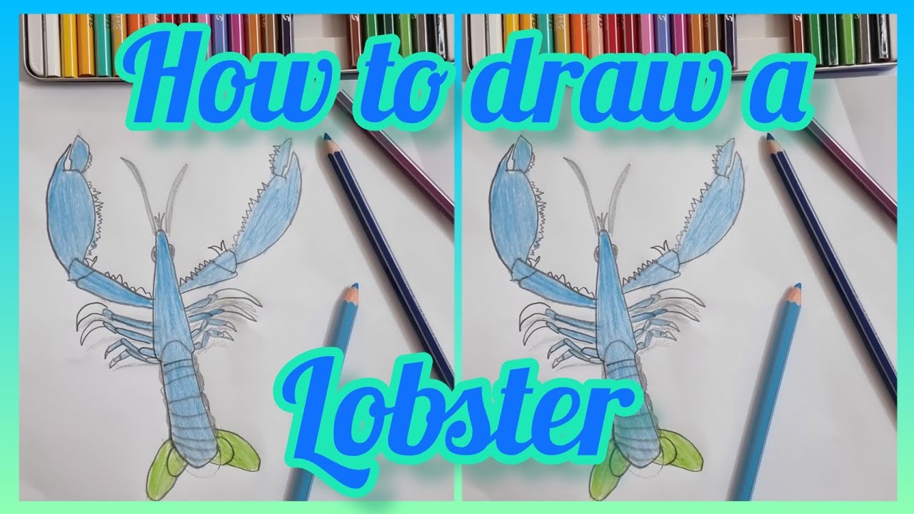 How To Draw A Realistic Lobster - YouTube
