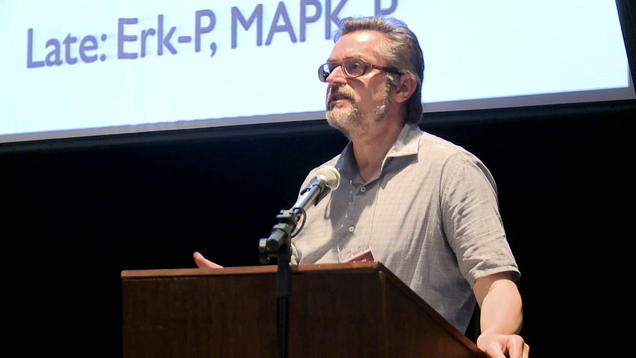 T cell dysfunction in HIV - Mario Ostrowski - 2014 - YouTube