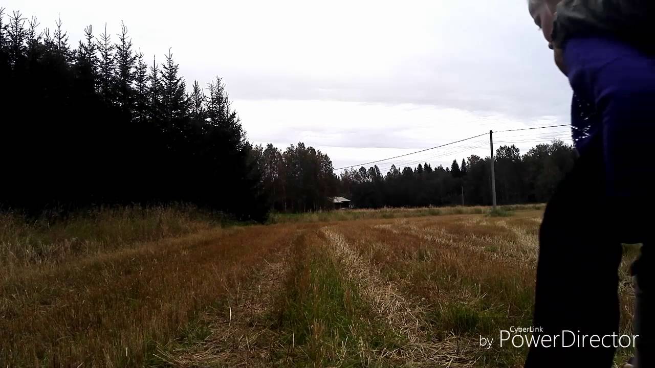 Sekoilua #3 -feat SUPER marsu - YouTube