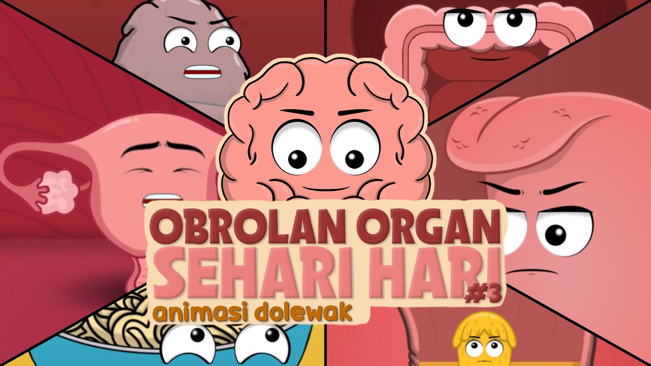 Obrolan Organ Mu Sehari Hari #3 - Animasi Organ Tubuh - YouTube