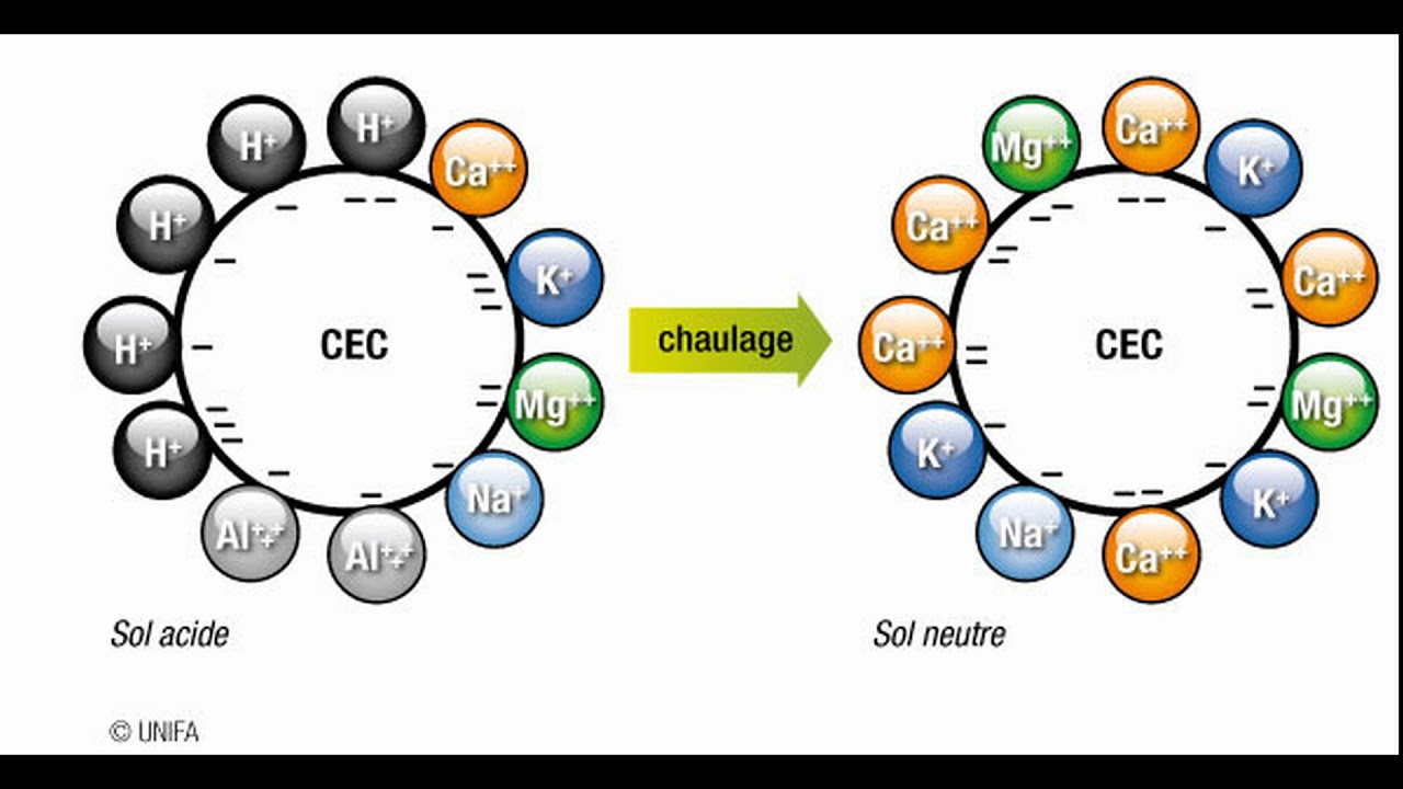 Le complexe argilo humique : un réservoir à ions (CAH et agriculture ...